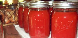 Ketchup fait maison - Sos Recette