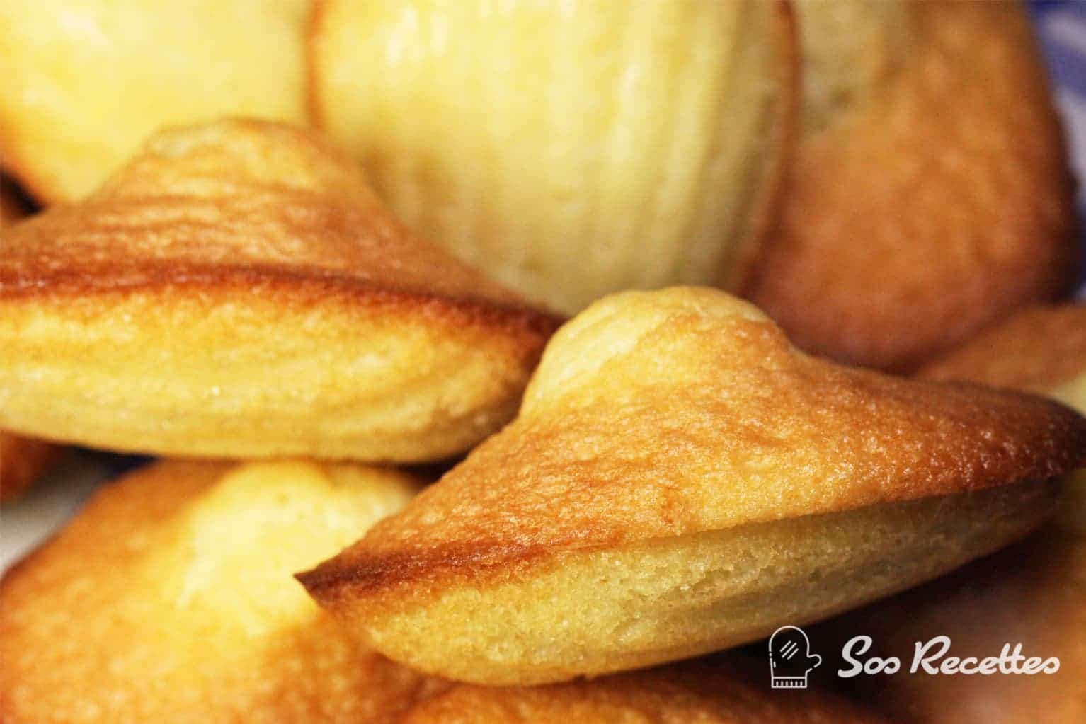 Les Madeleines Nature - Sos Recette